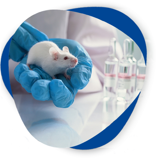 Drug Discovery Services India | Drug Development Services | TheraIndx