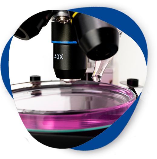 Drug Discovery Services India | Drug Development Services | TheraIndx