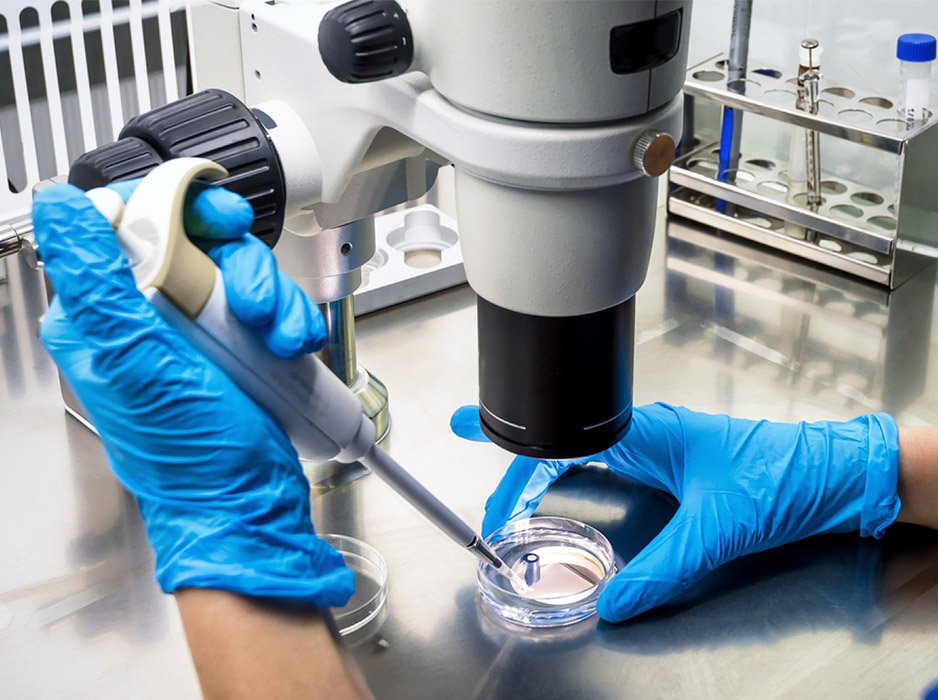 Xenograft Models for Cancer Drug Discovery & Xenograft Mouse Model ...